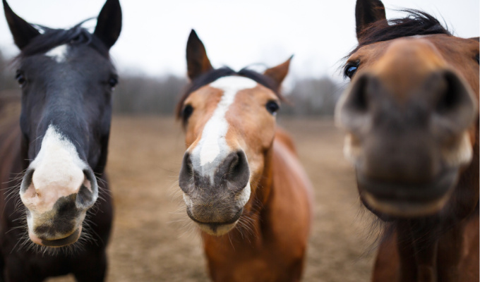 Mastering SAT Verbs: 2 Essential Grammar Rules That Cover Every ...